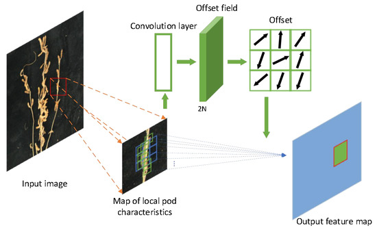 Counting Crowded Soybean Pods Based on Deformable Attention Recursive Feature Pyramid
