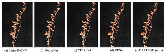 Counting Crowded Soybean Pods Based on Deformable Attention Recursive Feature Pyramid