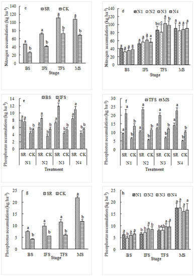 Effects of Annual Straw Incorporation Combined with Application of Nitrogen Fertilizer in Rice ...