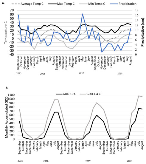 Dual-Purpose Rye, Wheat, and Triticale Cover Crops Offer Increased ...