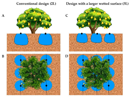 Changes in Drip Irrigation Water Distribution Patterns Improve Fruit ...