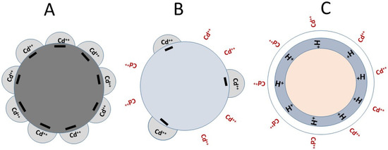 Agronomy | Free Full-Text | Heavy Metal Contamination in Agricultural ...