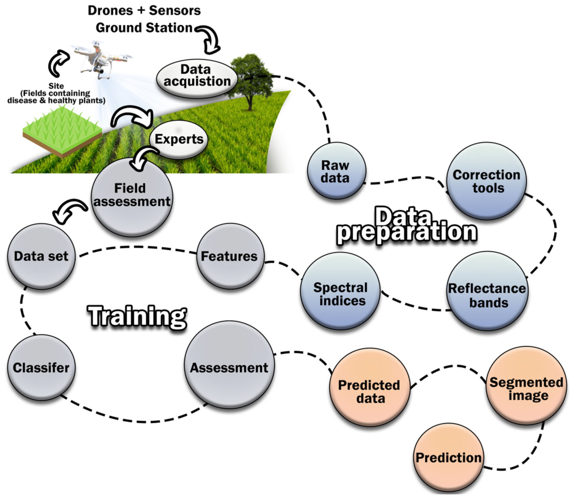 Agronomy | Free Full-Text | Drones in Plant Disease Assessment ...