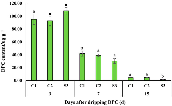 The Effect of New Nano-Released 1,1-Dimethyl-Piperidinium Chloride (DPC ...
