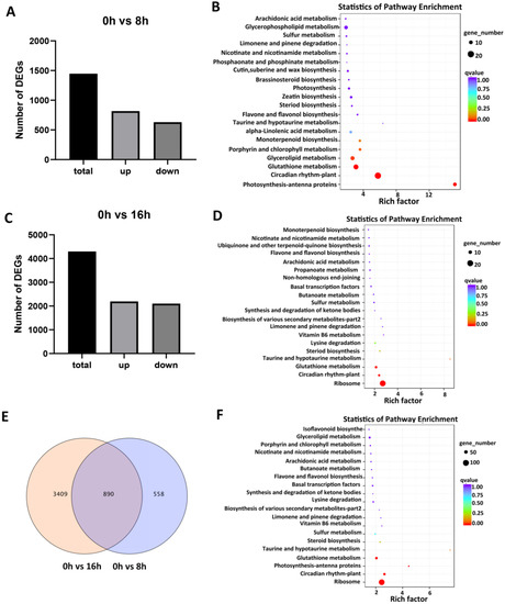 Time-Course Transcriptome and Phytohormonal Analysis of Blue-Light ...