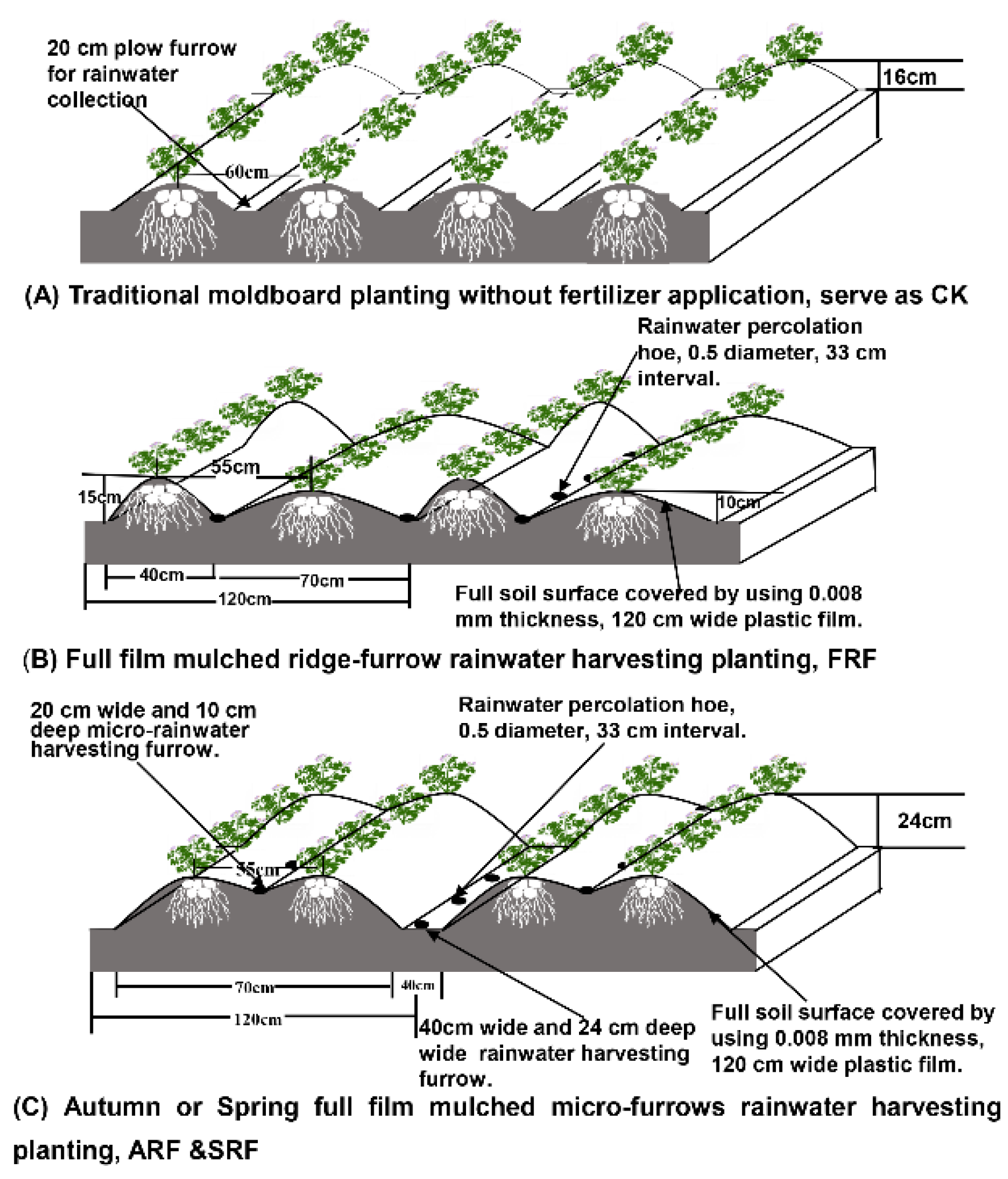 Autumn Film Mulched Ridge Microfurrow Planting Improves Yield and ...