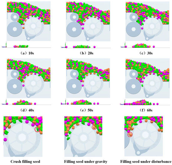 Modeling of Typically Shaped Corn Seeds and Calibration of the ...