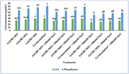 Agronomy | Free Full-Text | Plant Growth-Promoting Potential of Entomopathogenic Fungus ...