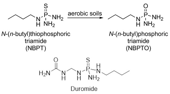 Deciphering the Interactions in the Root–Soil Nexus Caused by Urease ...