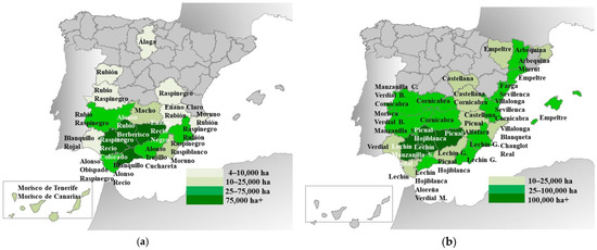 The Origin of Spanish Durum Wheat and Olive Tree Landraces Based on ...