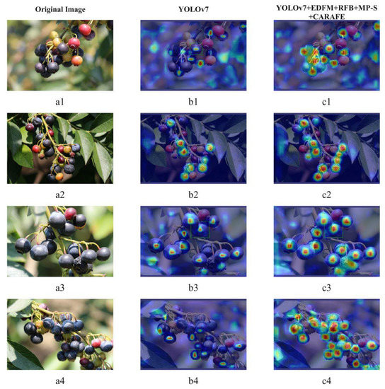 Blueberry Ripeness Detection Model Based on Enhanced Detail Feature and ...