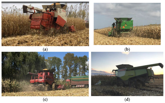 Effects of Threshing Devices, Maize Varieties and Moisture Content of ...