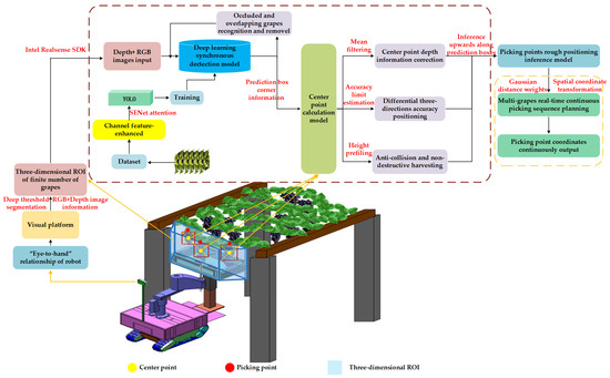 Agronomy | Free Full-Text | Realtime Picking Point Decision Algorithm ...