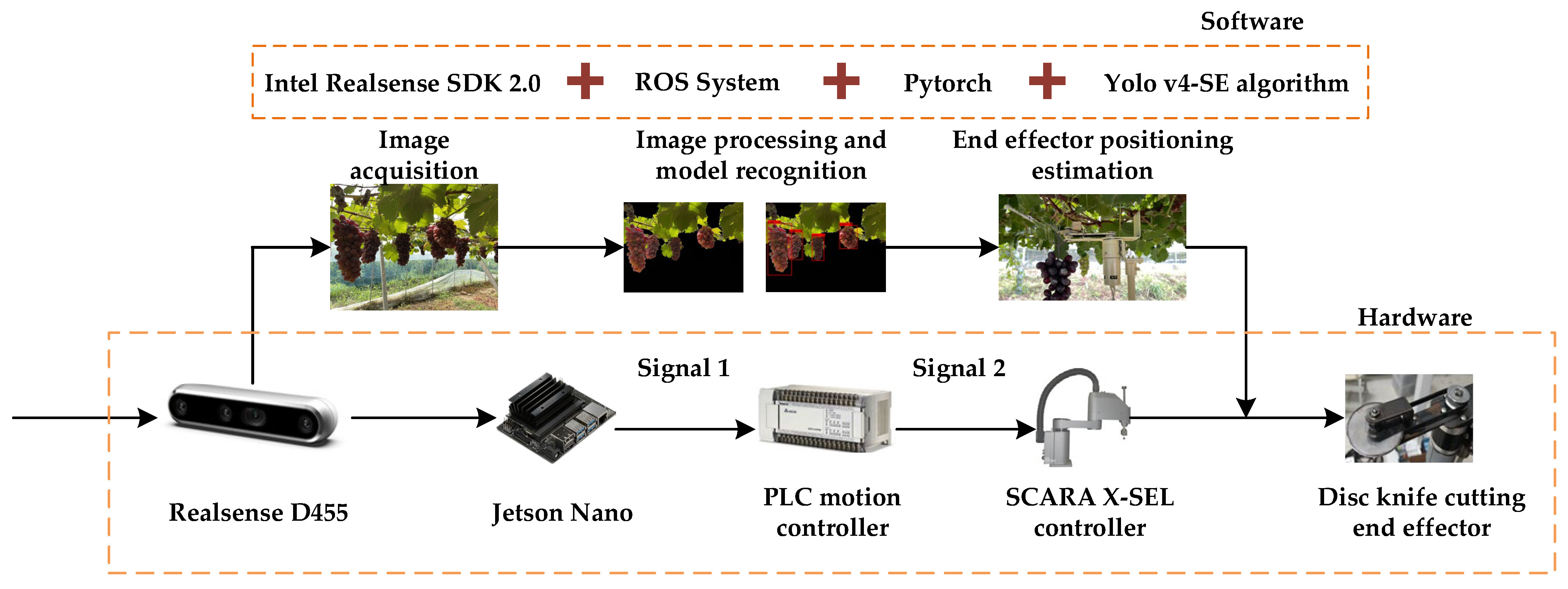 Agronomy | Free Full-Text | Realtime Picking Point Decision Algorithm of Trellis Grape for High ...