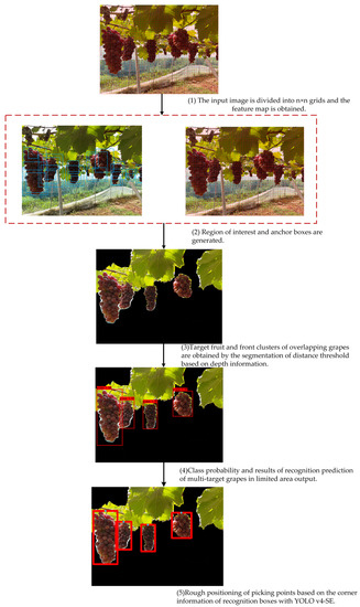 Agronomy | Free Full-Text | Realtime Picking Point Decision Algorithm ...