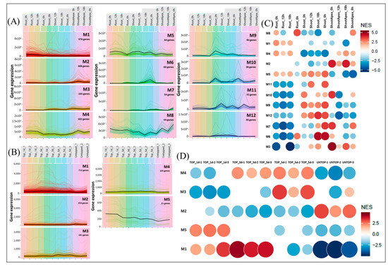 Identification of Terpene-Related Biosynthetic Gene Clusters in Tobacco ...