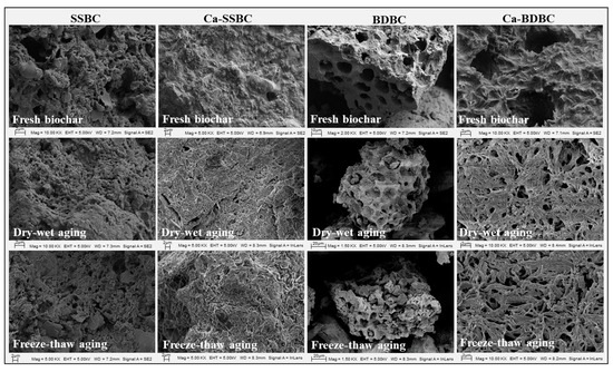 New Insights into the Enhancement Effect of Exogenous Calcium on ...