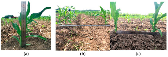 Agronomy Free Full Text Design And Experiment Of A Targeted Variable Fertilization Control