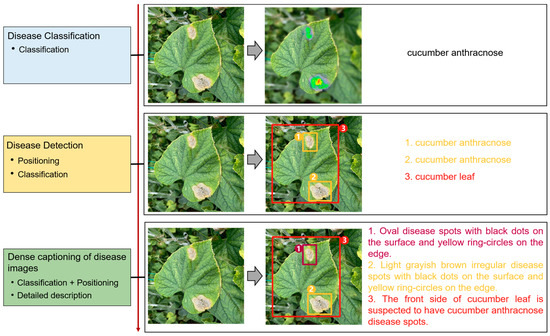 Veg-DenseCap: Dense Captioning Model for Vegetable Leaf Disease Images