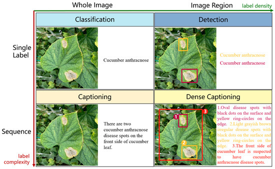 Veg-DenseCap: Dense Captioning Model for Vegetable Leaf Disease Images