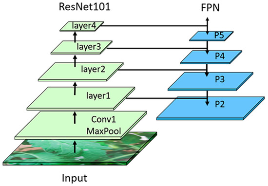 Veg-DenseCap: Dense Captioning Model for Vegetable Leaf Disease Images