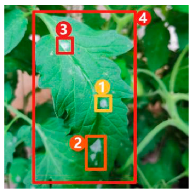 Veg-DenseCap: Dense Captioning Model for Vegetable Leaf Disease Images