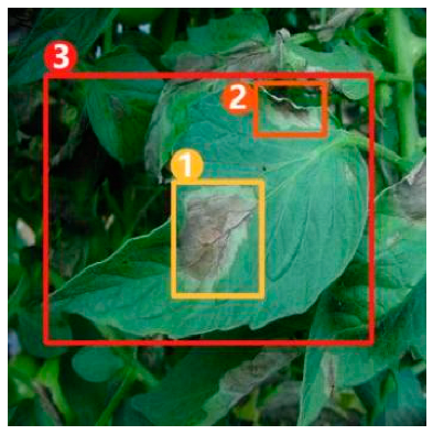 Veg-DenseCap: Dense Captioning Model for Vegetable Leaf Disease Images