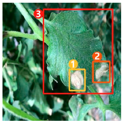 Veg-DenseCap: Dense Captioning Model for Vegetable Leaf Disease Images