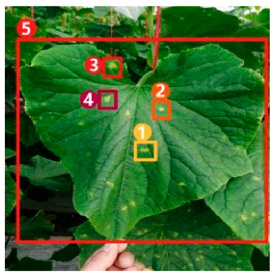 Veg-DenseCap: Dense Captioning Model for Vegetable Leaf Disease Images