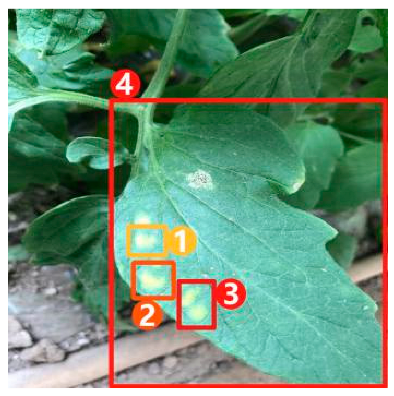 Veg-DenseCap: Dense Captioning Model for Vegetable Leaf Disease Images