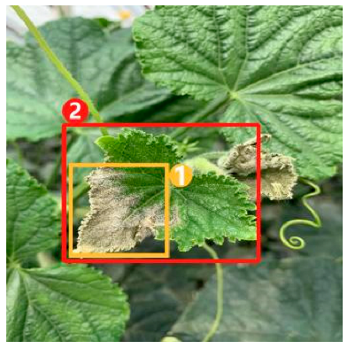 Veg-DenseCap: Dense Captioning Model for Vegetable Leaf Disease Images