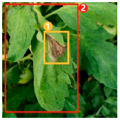 Veg-DenseCap: Dense Captioning Model for Vegetable Leaf Disease Images