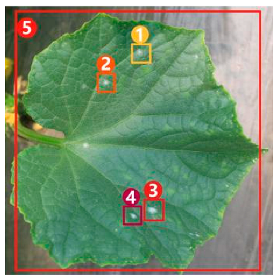 Veg-DenseCap: Dense Captioning Model for Vegetable Leaf Disease Images