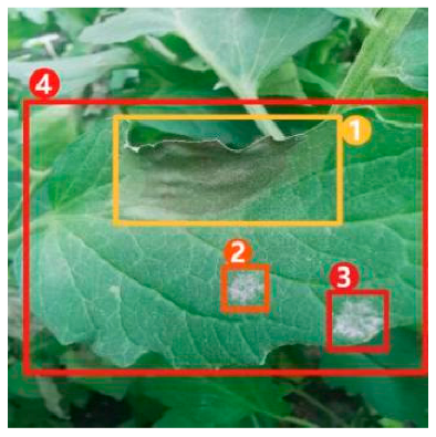 Veg-DenseCap: Dense Captioning Model for Vegetable Leaf Disease Images