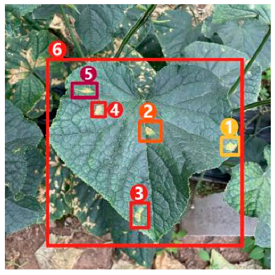 Veg-DenseCap: Dense Captioning Model for Vegetable Leaf Disease Images