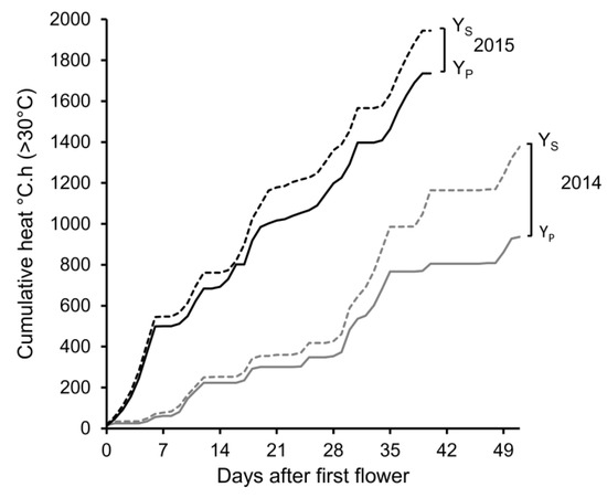 Field Screening of Lentil (Lens culinaris) for High-Temperature Tolerance