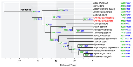 Genome Assemblies of Two Ormosia Species: Gene Duplication Related to ...