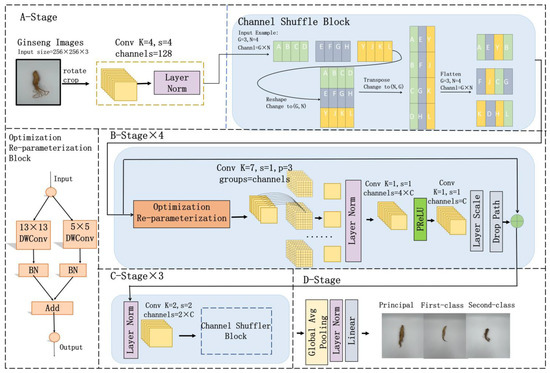 A Ginseng Appearance Quality Grading Method Based on an Improved ConvNeXt Model