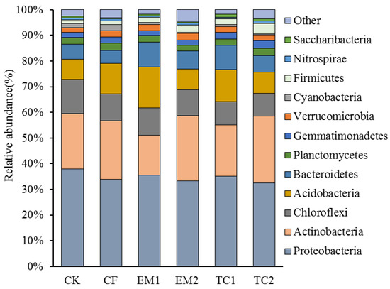 Influence of Bio-Fertilizer Type and Amount Jointly on Microbial ...