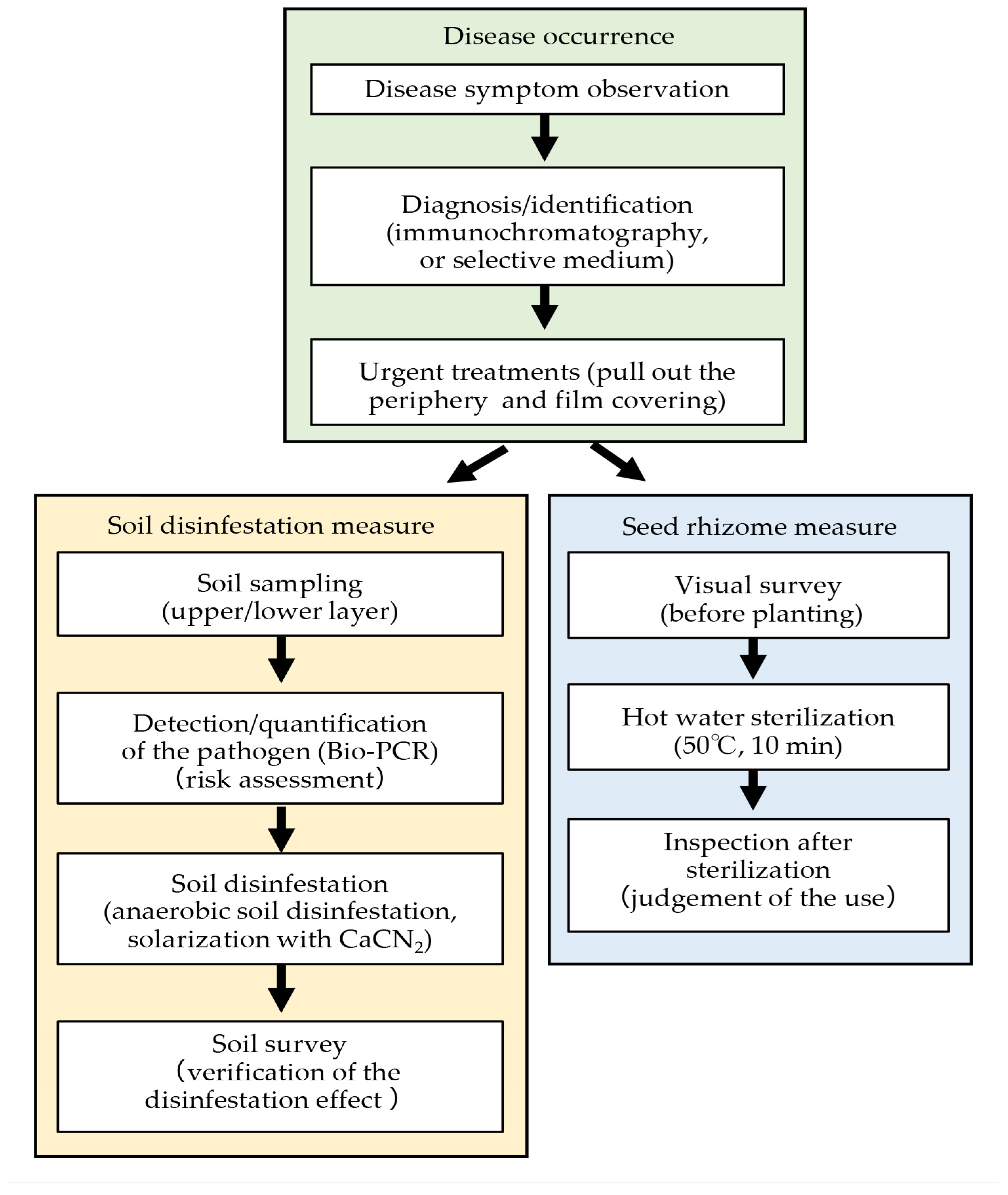 Comprehensive Control System for Ginger Bacterial Wilt Disease Based on ...