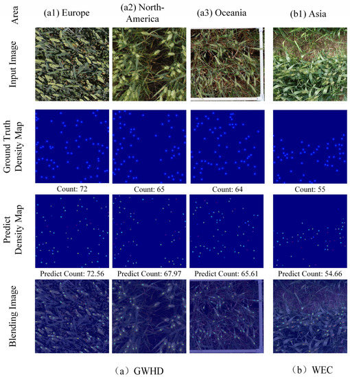 Cross-Platform Wheat Ear Counting Model Using Deep Learning for UAV and Ground Systems