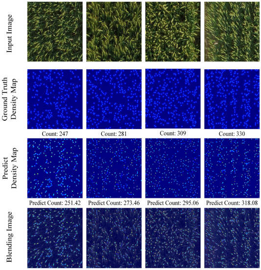 Cross-Platform Wheat Ear Counting Model Using Deep Learning for UAV and Ground Systems
