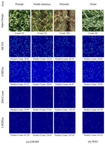 Cross-Platform Wheat Ear Counting Model Using Deep Learning for UAV and Ground Systems
