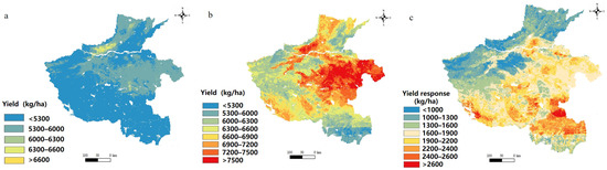 Agronomy | Free Full-Text | Spatial Variability Analysis of Wheat ...