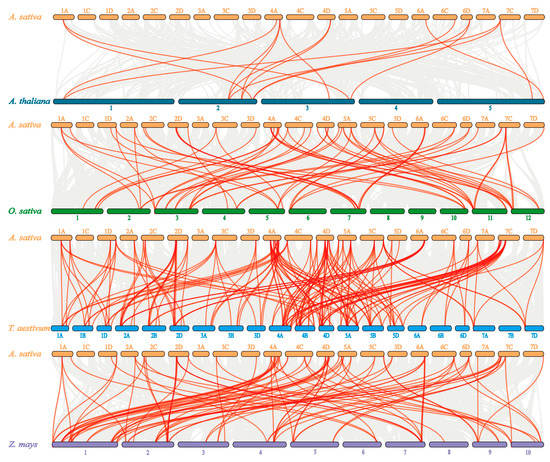 Genome-Wide Identification and Expression of the GRAS Gene Family in ...