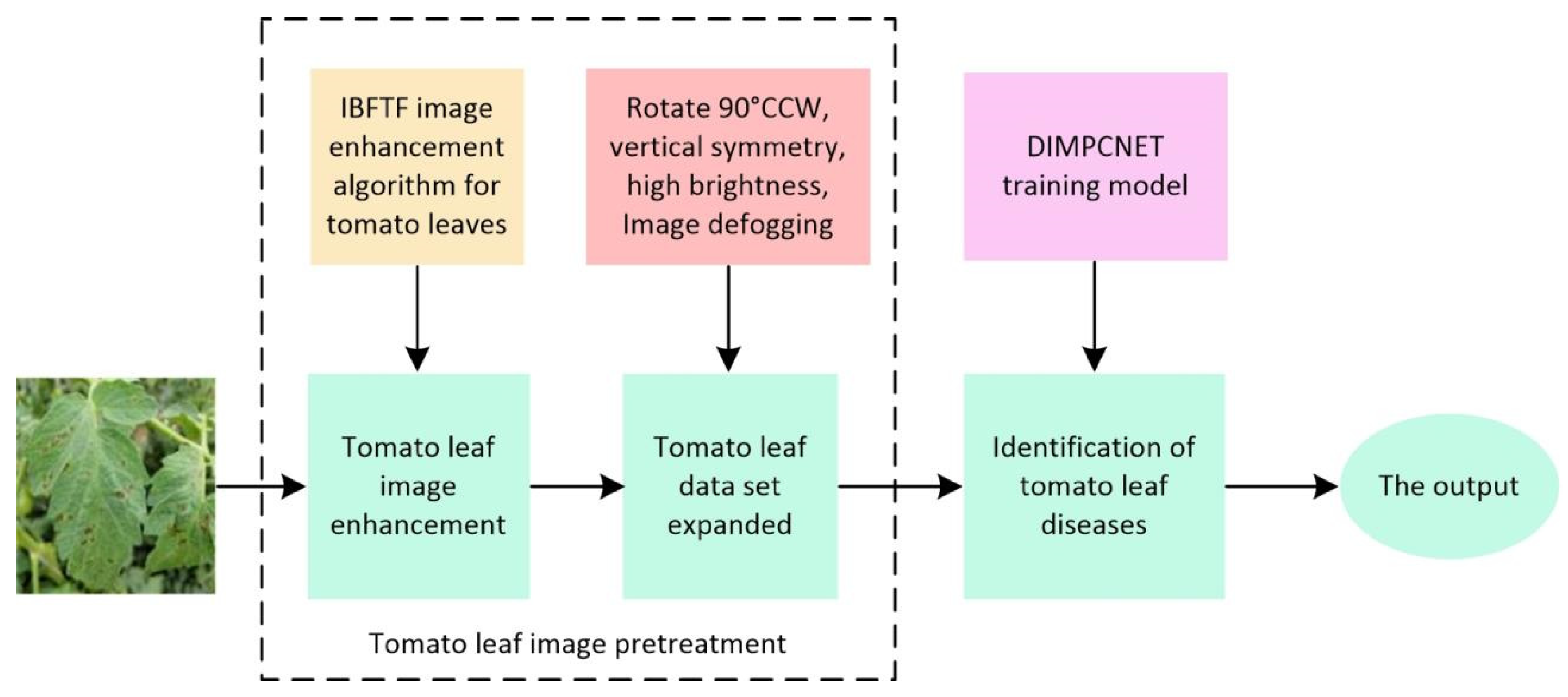 Agronomy | Free Full-Text | Recognition of Tomato Leaf Diseases Based ...