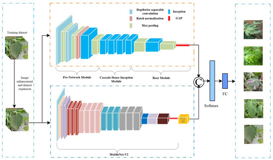 Agronomy | Free Full-Text | Recognition of Tomato Leaf Diseases Based ...