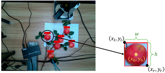 Research on Apple Object Detection and Localization Method Based on Improved YOLOX and RGB-D Images
