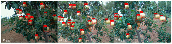 Research on Apple Object Detection and Localization Method Based on Improved YOLOX and RGB-D Images