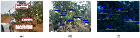 Research on Apple Object Detection and Localization Method Based on ...